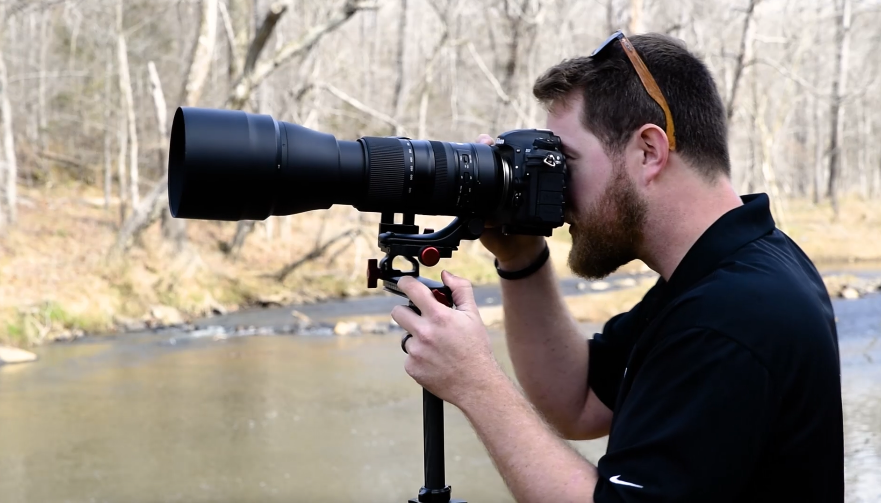 Mastering Gimbals for Birding & Wildlife Photography | Tamron